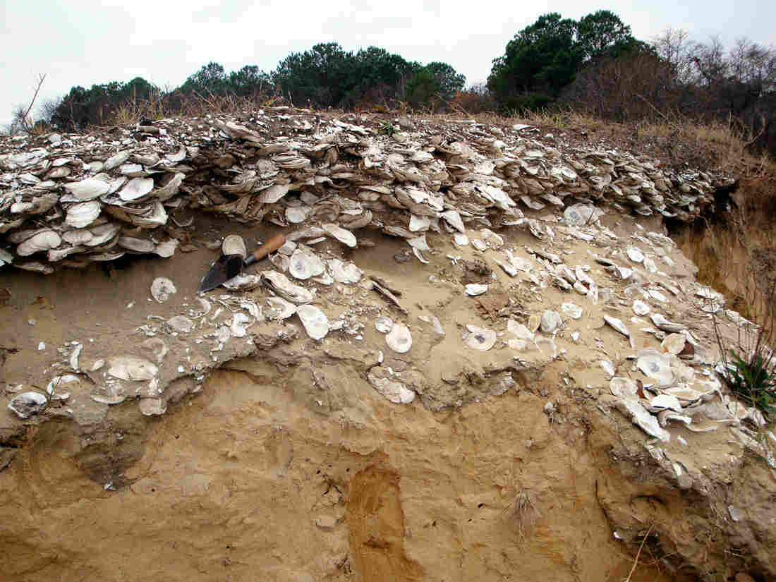 Talking Circle Considers Indigenous Artifacts/History – Bay of Fundy ...